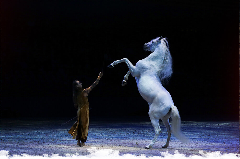 Le cheval en chiffre : 1200 chevaux à "Cheval Passion" | Le Mag des ...