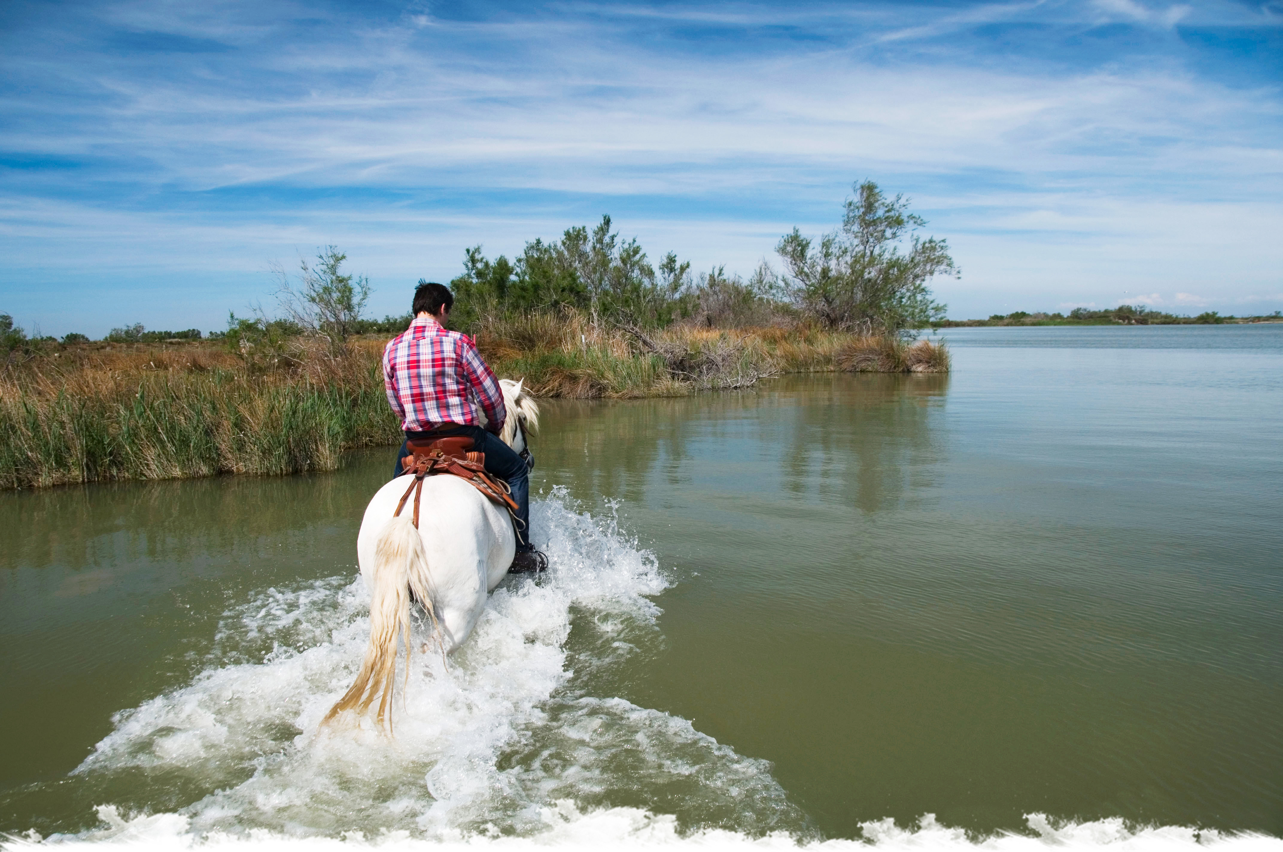 Immersion en culture camarguaise | Le Mag des cavaliers voyageurs
