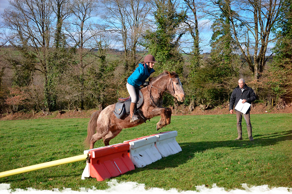 Le TREC en France, une épreuve sportive d'extérieur | Le Mag des ...